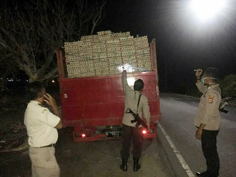 12 Ton Telur Ayam Asal Pulau Lombok Ditolak Masuk Pulau Sumbawa
